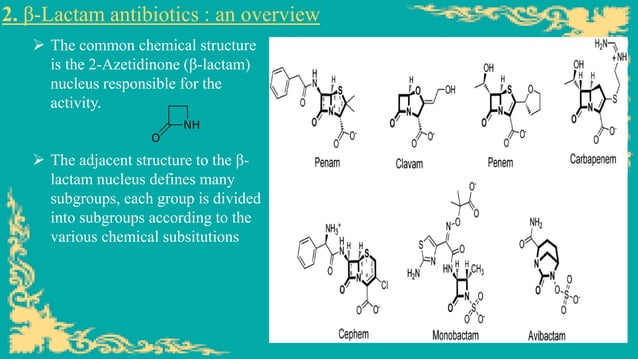 beta lactamases : structure , classification and investigations | PDF ...