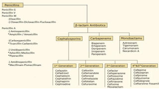 beta lactamases : structure , classification and investigations | PPT