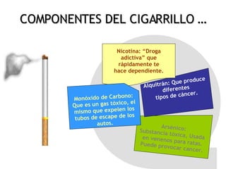 Escolares Libres De Tabaco | PPT