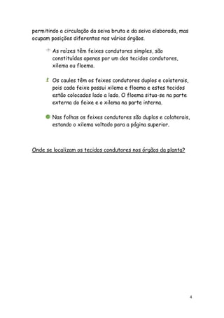 LOCALIZAÇÃO DOS TECIDOS CONDUTORES NOS DIFERENTES ÓRGÃOS DA PLANTA | DOCX