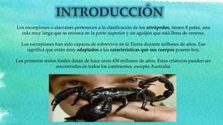 Escorpiones | PPTX