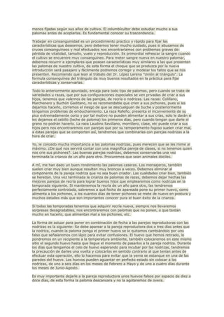 LA CRIANZA DE LA PALOMA Y SUS FACETAS | DOC