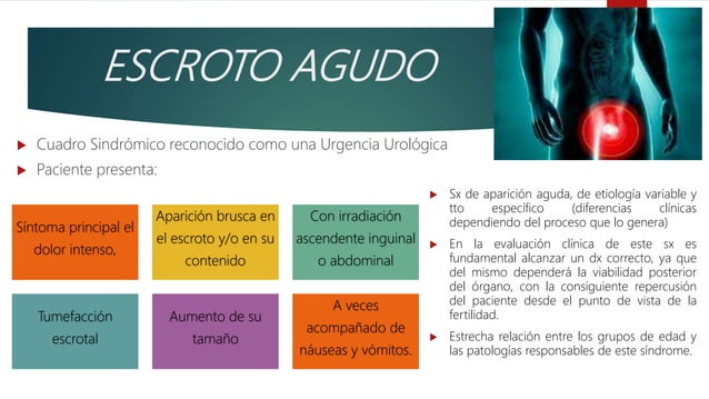 Escroto agudo | PPT