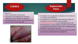 Escroto agudo | PPTX