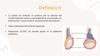 Escroto agudo. Torsion testicular en pediatría. | PPTX