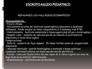 Escroto agudo en pediatría | PPTX