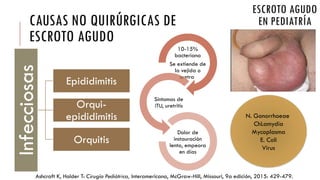 Escroto Agudo en Pediatría, Torsión Testicular | PPTX