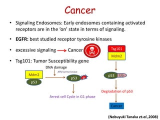 Escrt proteins in physiology and diseases | PPTX