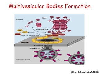 Escrt proteins in physiology and diseases | PPTX