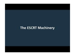 Escrt proteins in physiology and diseases | PPTX