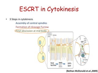 Escrt proteins in physiology and diseases | PPTX