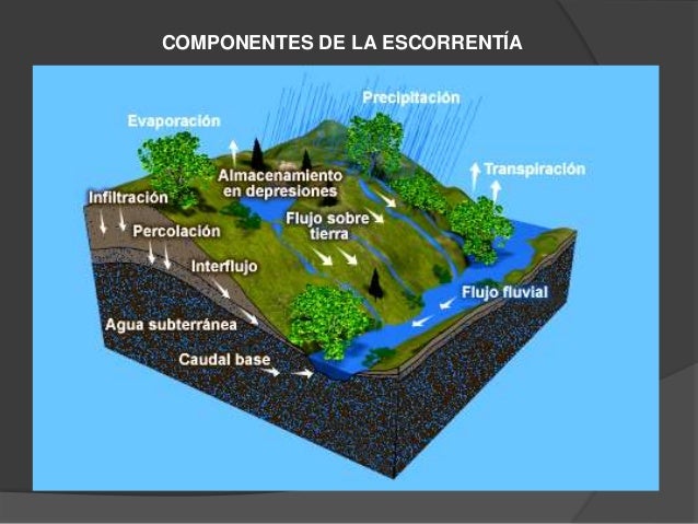 ESCURRIMIENTO