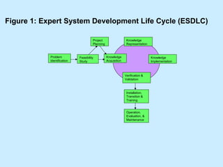 Artificial Intelligence: The Nine Phases of the Expert System ...