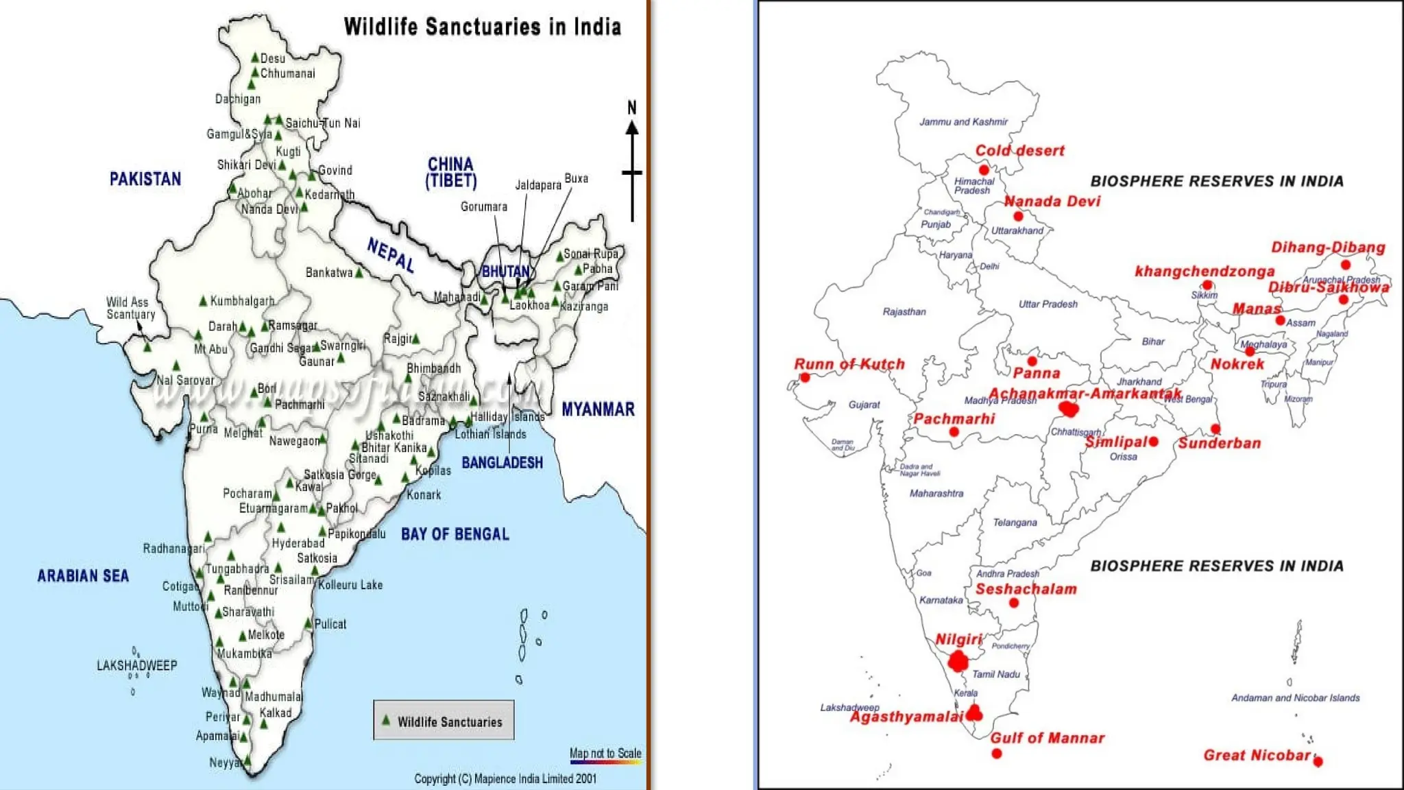 Wild protection act its introduction .pptx
