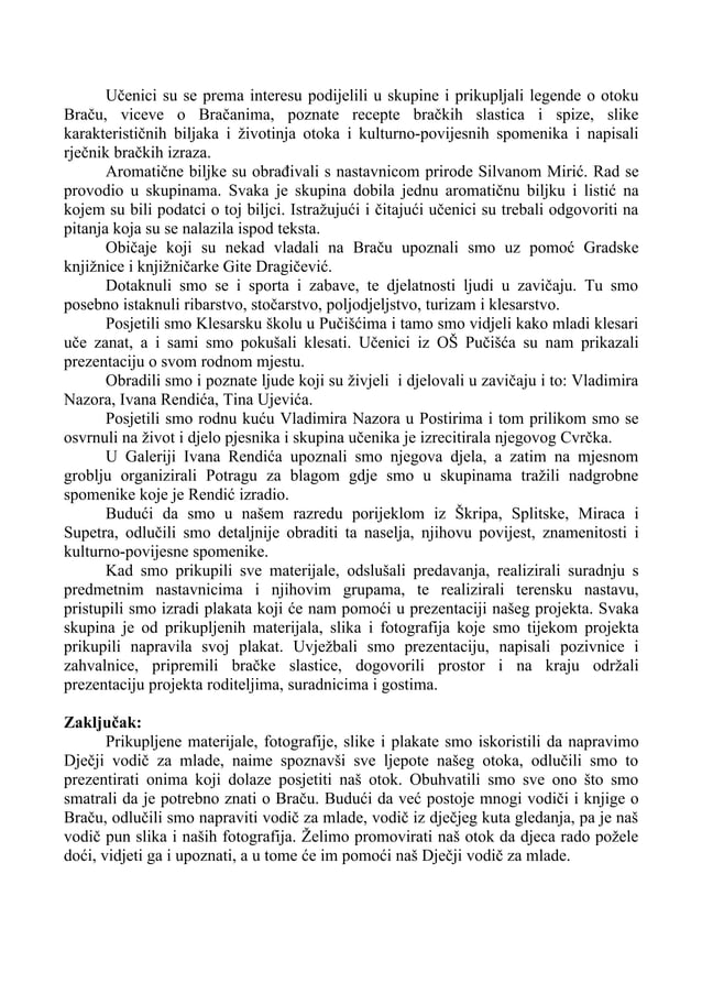 Esej Projekt Brac | PDF