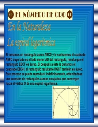 Es el número de oro | DOCX