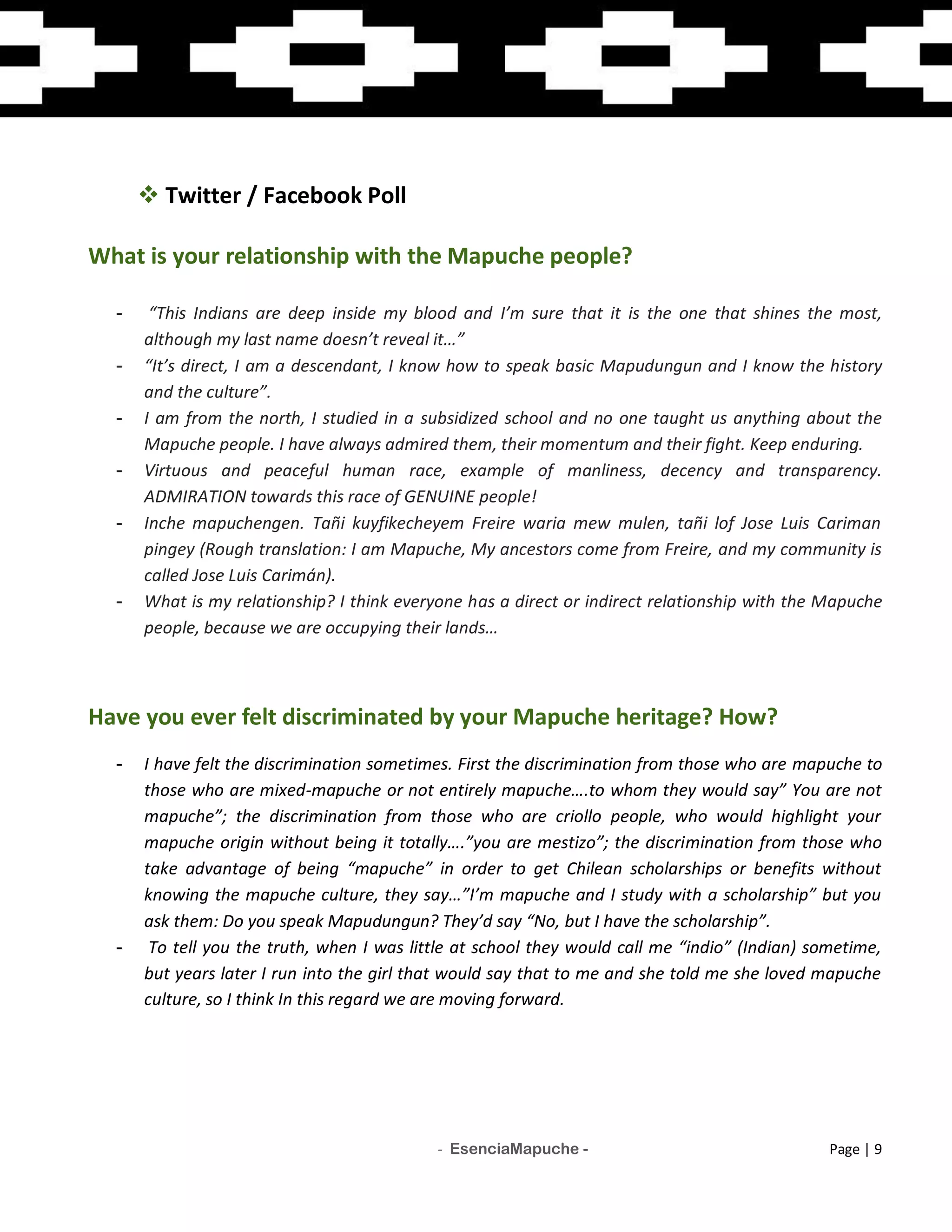 Esencia Mapuche project report N°1 | PDF
