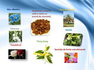 Esente.Arome.ppt