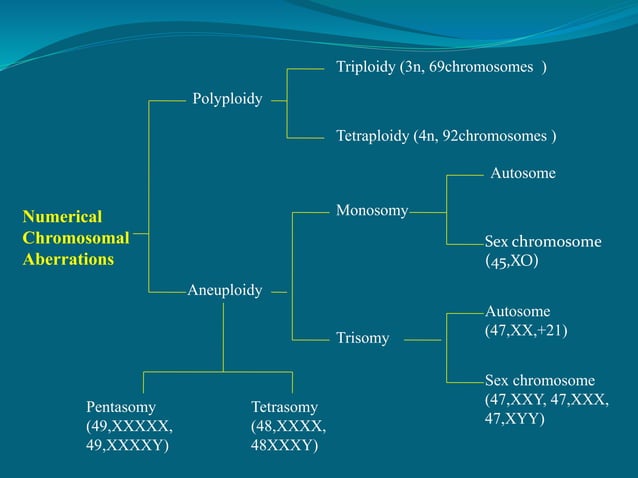 Chromosomal_aberrations.pptx