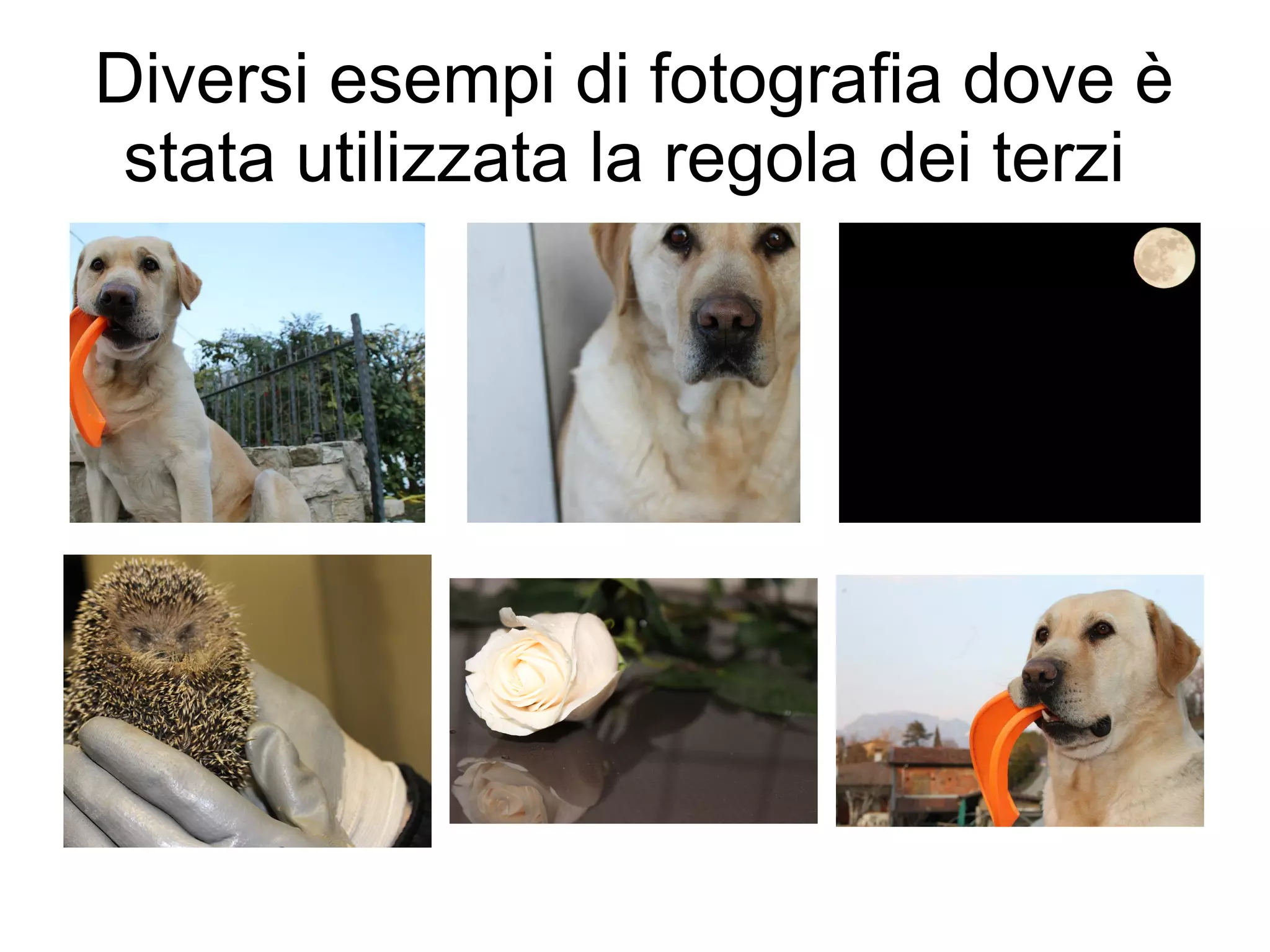 Esercizio 1 (regola dei terzi) | ODP