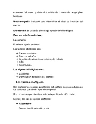 Esófago | DOCX