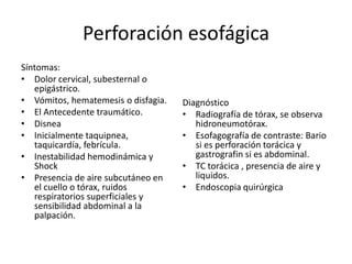 Anatomía del Esófago | PPTX
