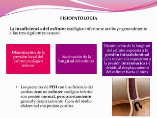 Esófago, hernia hiatal, y acalasia | PPTX