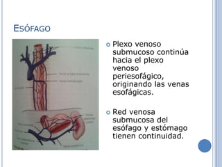 Esófago y hernia diafragmática | PPTX
