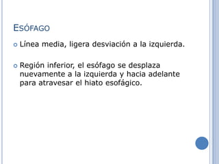 Esófago y hernia diafragmática | PPTX