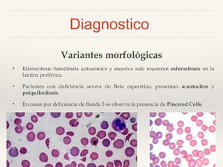 Esferocitosis hereditariafinal (1) | PPT