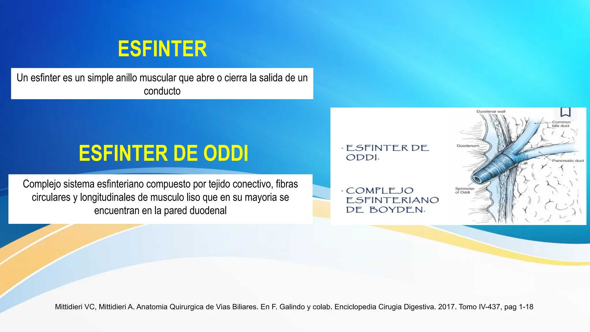 Esfinter de Oddi, anatomía, patologías.pptx