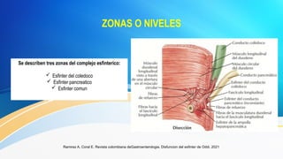 Esfinter de Oddi, anatomía, patologías.pptx
