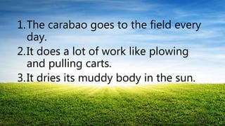 -es form of Action Words | PPT