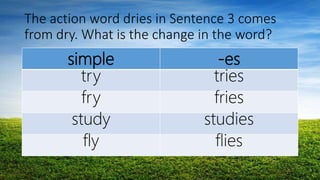 -es form of Action Words | PPTX