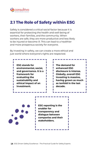 ESG-Driven Safety Excellence - The Practical Guide for Safety Experts ...