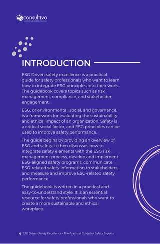 ESG-Driven Safety Excellence - The Practical Guide for Safety Experts ...