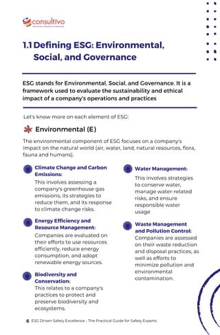 ESG-Driven Safety Excellence - The Practical Guide for Safety Experts ...