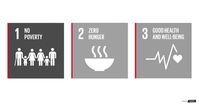 Manufacturer’s Guide to the 17 UNSDGs Epcon | PPT
