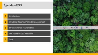 ESG Assurance and Reporting The road to ESG Leadership | PPTX