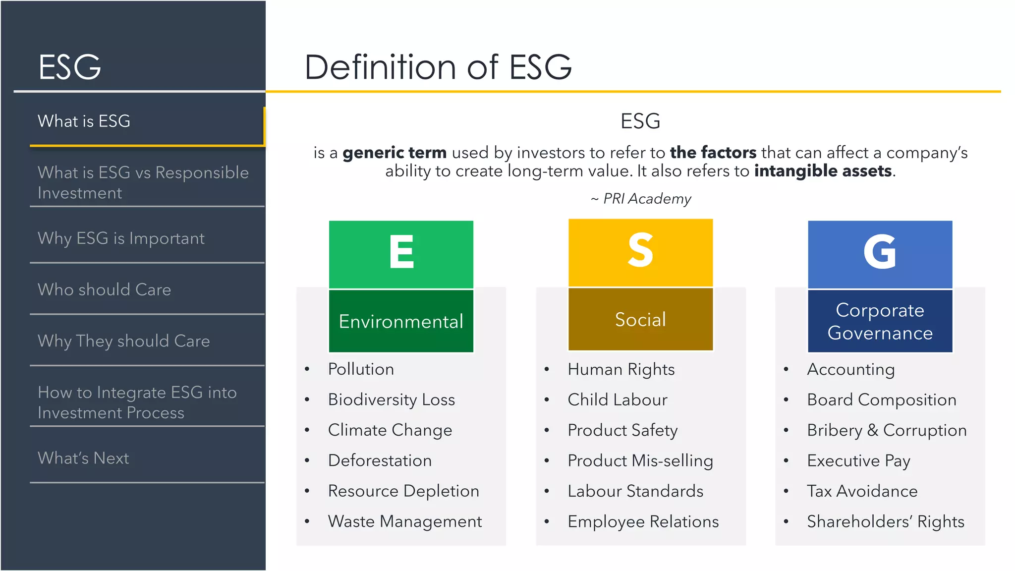 ESG Explained - Introduction | PDF