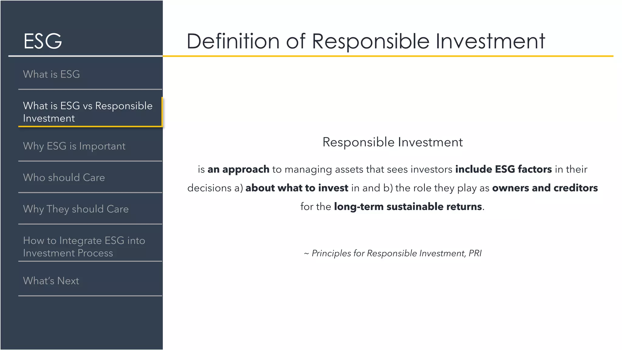 ESG Explained - Introduction | PDF