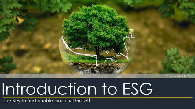 ESG Explained - Introduction | PDF