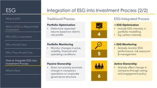 ESG Explained - Introduction | PDF