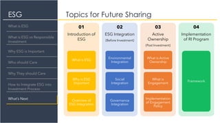 ESG Explained - Introduction | PDF