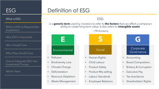 ESG Explained - Introduction | PDF