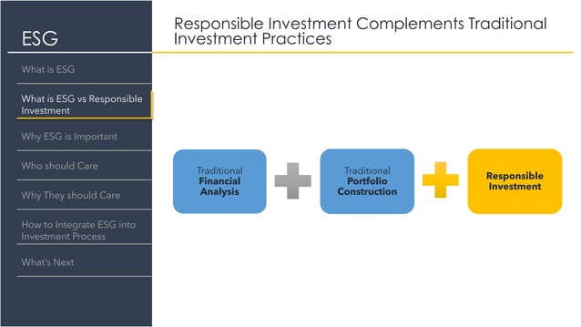 ESG Explained - Introduction | PDF