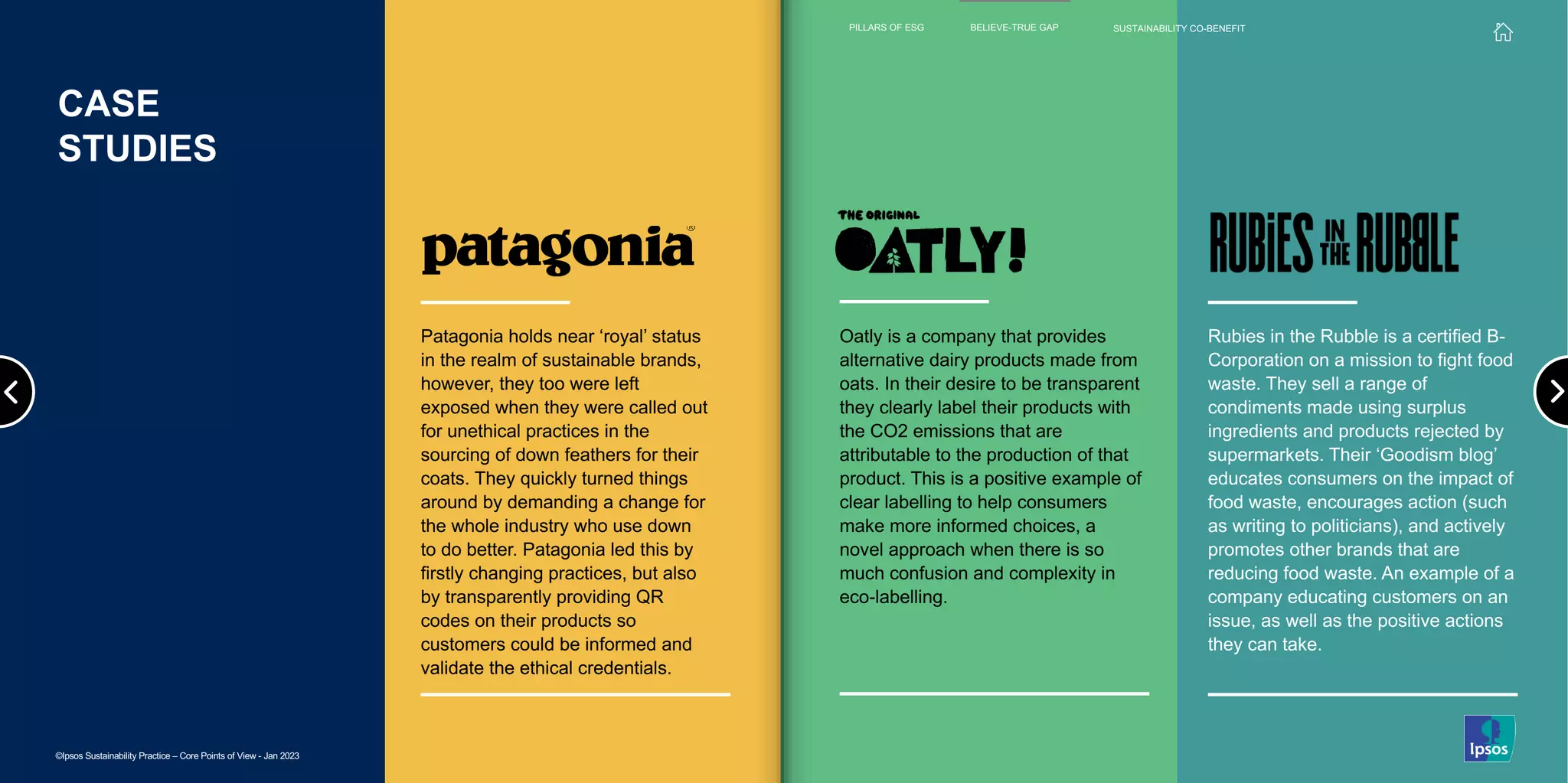 ESG Imperative - Ipsos foundational perspectives | PDF