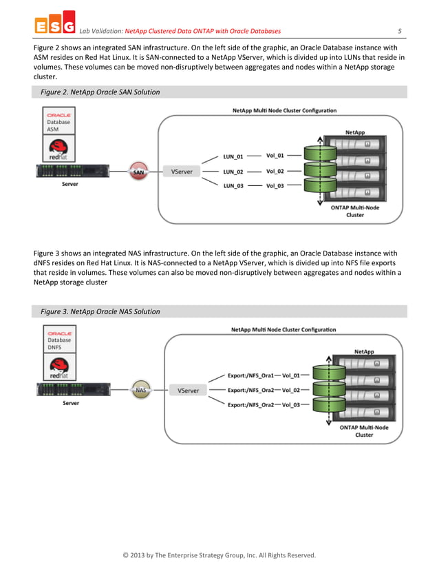 NetApp Clustered Data ONTAP with Oracle Databases | PDF