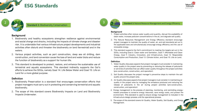 ESG Standars.pptx
