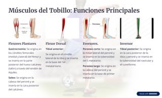 Esguince de Tobillo Una Vision General. Samuel Rey | PDF